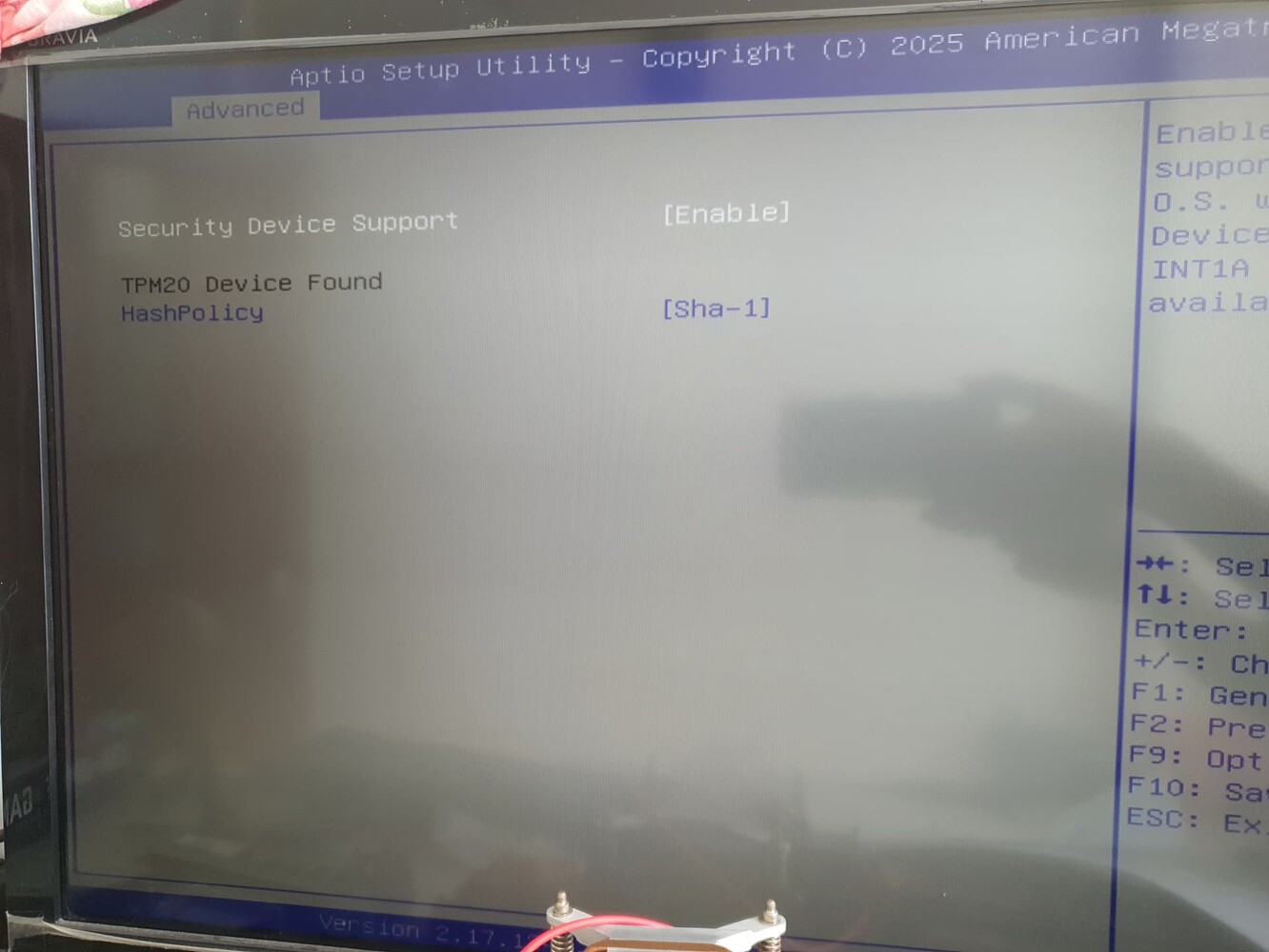 [Guide] Add TPM module on Chinese X99 and X79 - BIOS Modding Guides and ...